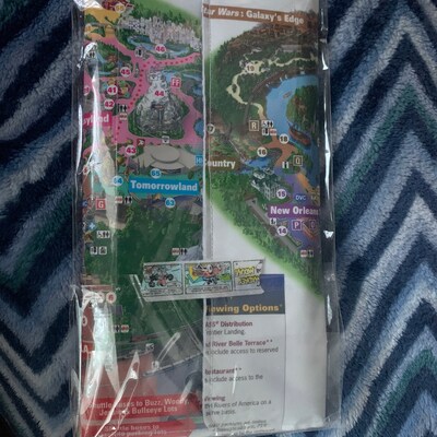 The Original Disneyland Map Clutch - Etsy