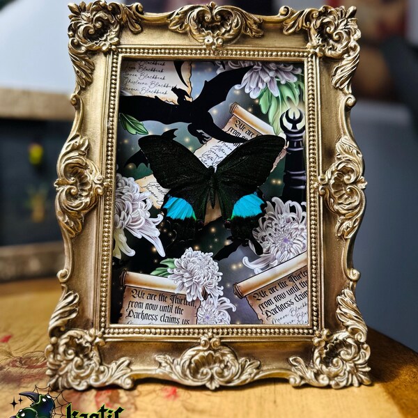 Blue Leafwing Butterfly, Anaea Xenocles, Spread for Your Project or ...