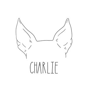 44 Dog Breed Line Drawing Clip Art and Stamps for Procreate | Etsy