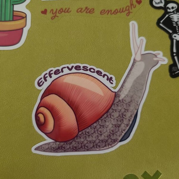 Battle Schars Sticker, Jasper Sticker, Twilight Sticker, Water Bottle ...