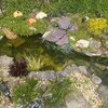 Hedgehog Pond Ramp, Hedgehog Conservation, Pond Decorations, Gardener ...
