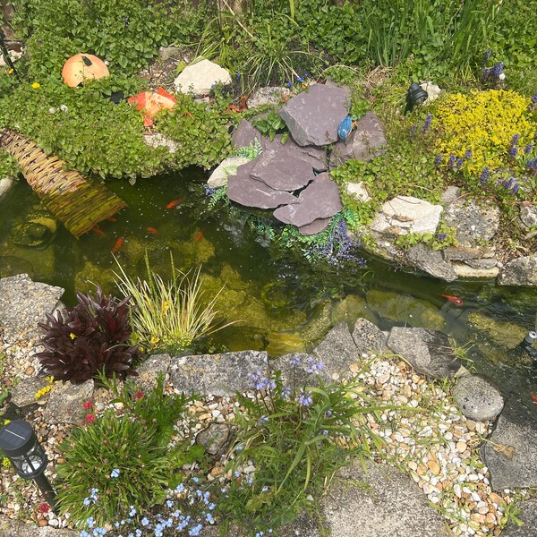 Hedgehog Pond Ramp, Hedgehog Conservation, Pond Decorations, Gardener ...
