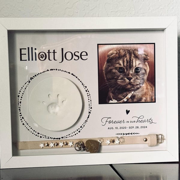 Pet Memorial Gift With Collar and Clay Paw Print Shadow Box, Clay Paw ...