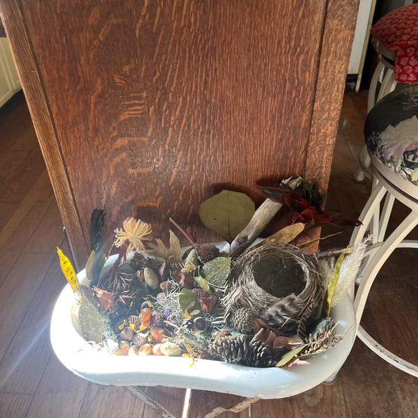 Lg Forest Findings Collection, Dried Botanicals, Forest Decor ...