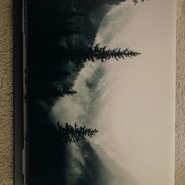 Highland Cow Laptop Skin, Laptop Cover, Laptop Skins, Removable Laptop ...