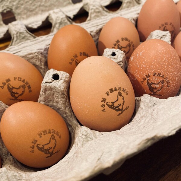 Mini Egg Stamp | Homesteading | Farm Stamp | Egg Marking | Egg Stamper ...