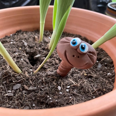 Fairy Garden Worms,water Sensor Worms for Your Garden or Planters,8 ...