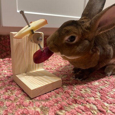 Rabbit Wheel,rabbit Feeder Toy, Rabbit Accessories, Rabbit Wood, Rabbit ...