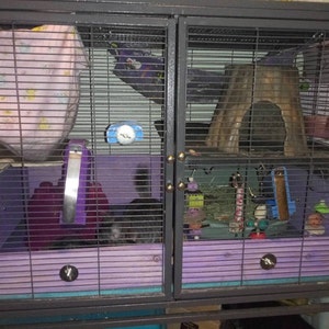 Cage Guards / Poop Guards SAFEST & MOST AFFORDABLE Option for Keeping ...