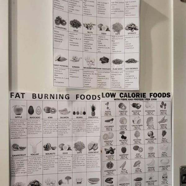 Low Calorie Foods Chart, Fiber and Protein Food Chart, Fiber Foods ...