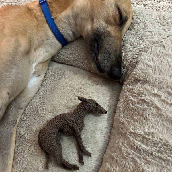 Lurcher Knitting Pattern - Etsy