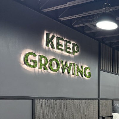 Real Moss, Live Moss Art, Real Moss Decor, Moss Art, Moss Decor, Office ...