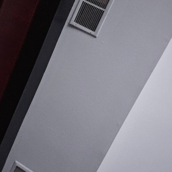 Vintage Fox Print, Fox Wall Art, Dark Cottagecore Decor, Woodland ...