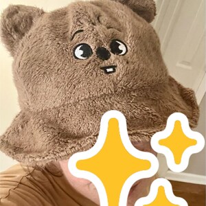 Paboracha Member Stray Kids SKZ Embroidered Hoodie - Etsy