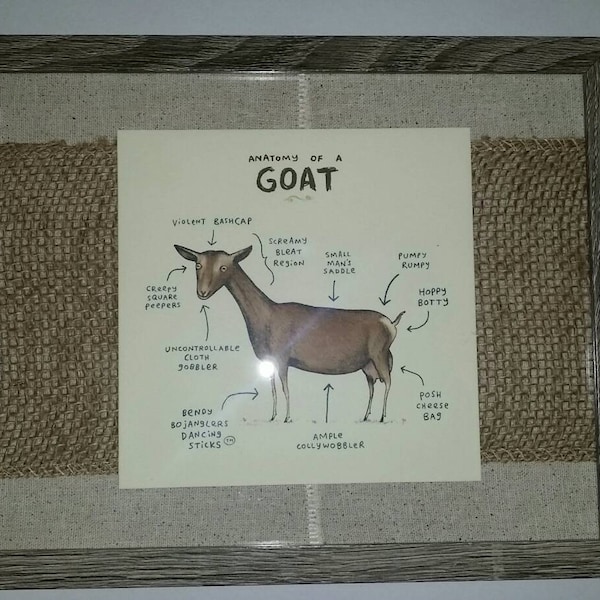 Anatomy of A Goat Card - Etsy
