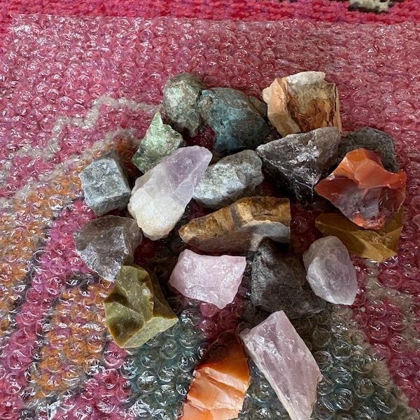 Fossil Mix | Raw Fossil Hunting Kit | Genuine Assortment of Fossils ...