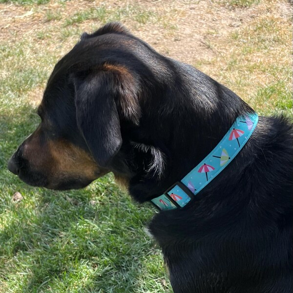 Pastel Jelly Beans Dog Collar - Etsy