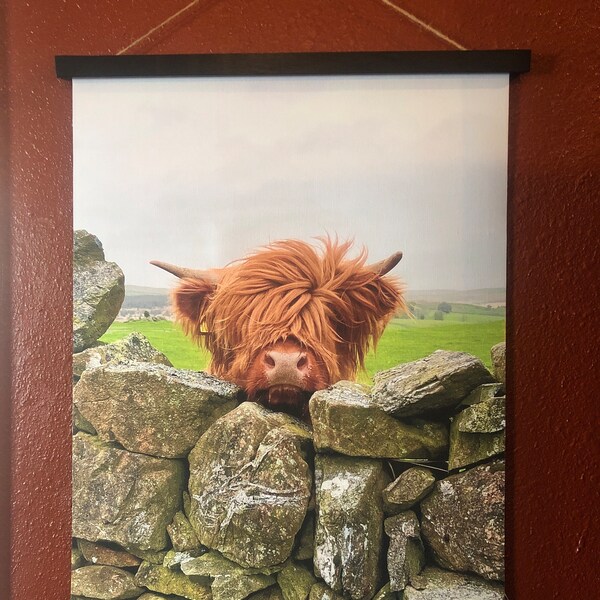Highland Cow Traffic Jam - Etsy
