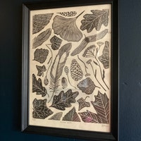 Shell Collection Original Limited Edition Lino Print, Linocut Print ...