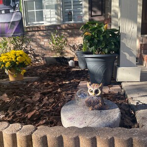 Tree Faces Tree Hugger Yard Art Garden Decoration unique - Etsy