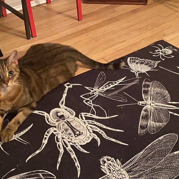 Insects and Moths Rug Butterfly Dragonfly Spider Carpet Biology ...