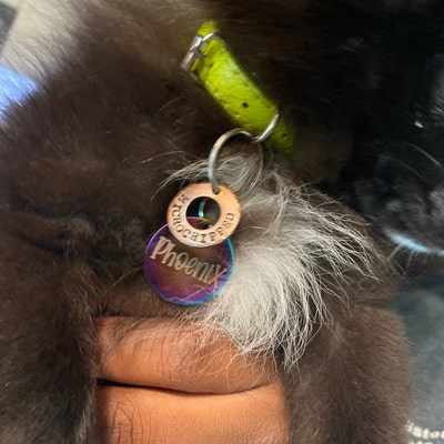 Microchipped Dog Tag, Dog Tag, Microchip, Pet Tag, Dog Id Tag, I'm ...