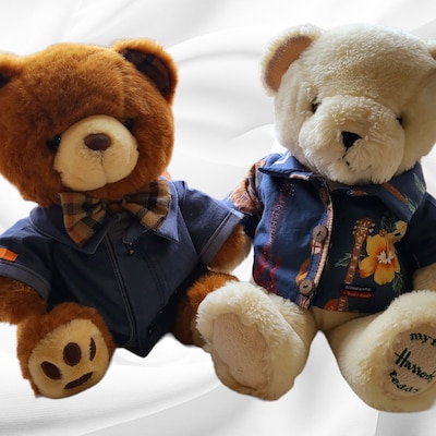 TEDDY BEAR SHIRT Pdf Pattern Fits 15-18 Inch Teddy Bears Such as Build ...