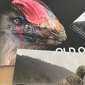 NOVOSAURS Book - Etsy UK