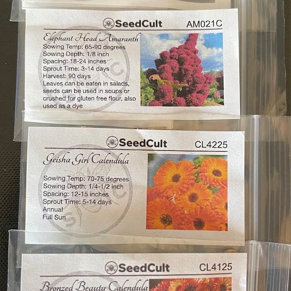 50 Molten Fire Amaranth Seeds, Edible Plants, Amaranthus Gangeticus ...
