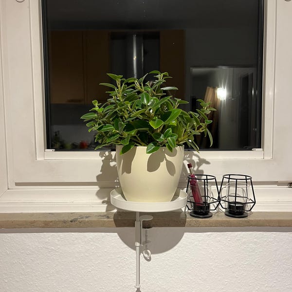 Windowsill Clamp Tray for Indoor Plants, Plant Decor, More Space for ...
