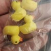 MINIATURE RUBBER DUCK Ducky Duckies Micro Minis Tiny Dollhouse Fairy ...