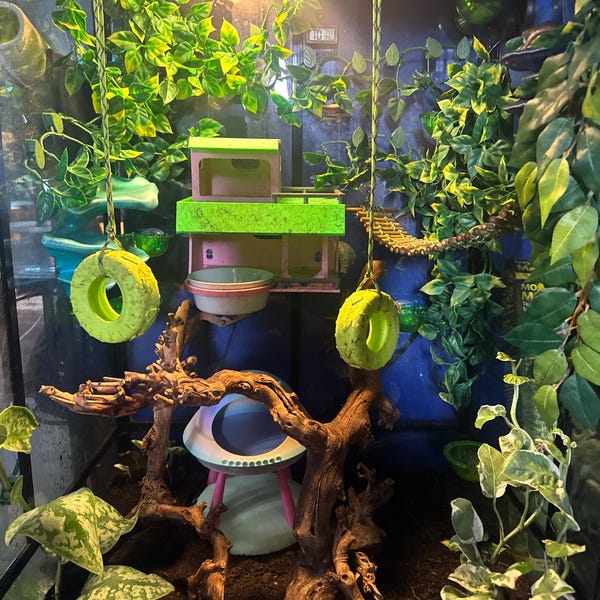 16" 400mm High Roof/floor Hide 280mm Diameter 85mm Deep With Large ...