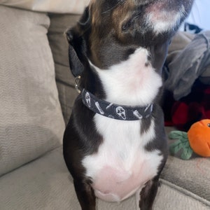 Redrum Stylish Shining Halloween Dog Collar - Etsy