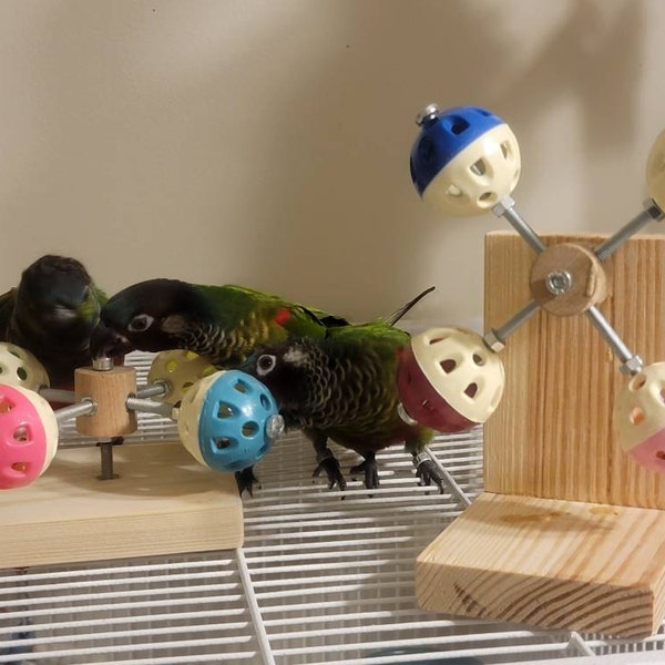 Personalized Rotating Balls Toy for Birds With Bell, Budgie Toy ...