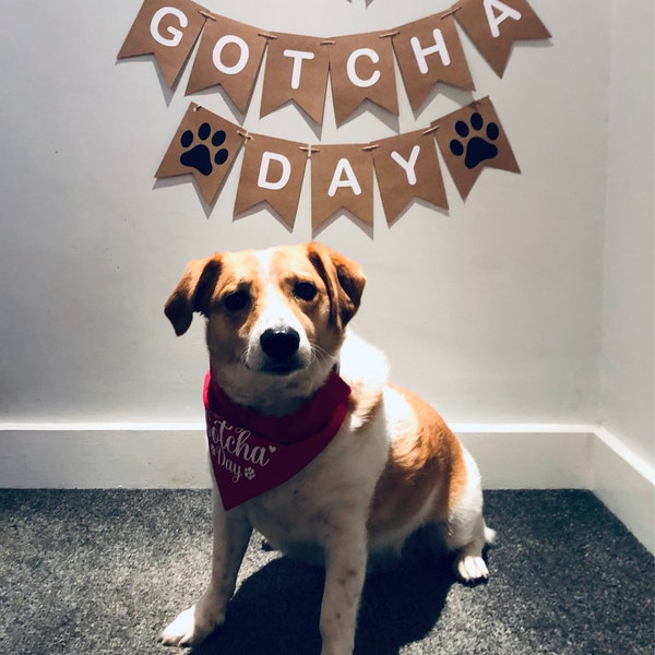 Happy Gotcha Day Bunting Banner Sign Dog Cat Rescue Birthday Day ...