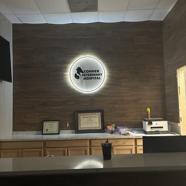 Custom Business Sign, LED Logo Sign, Backlit Company Name, Wall Office ...
