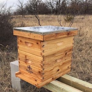 Bee Hive 10 Frame Langstroth 2 Deep Brood Boxes & 2 Medium Super Boxes ...