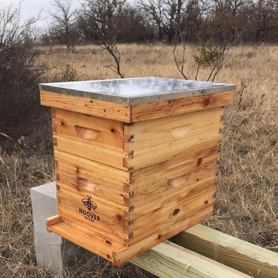 Bee Hive 10 Frame Langstroth 2 Deep Brood & 1 Medium Super Boxes ...