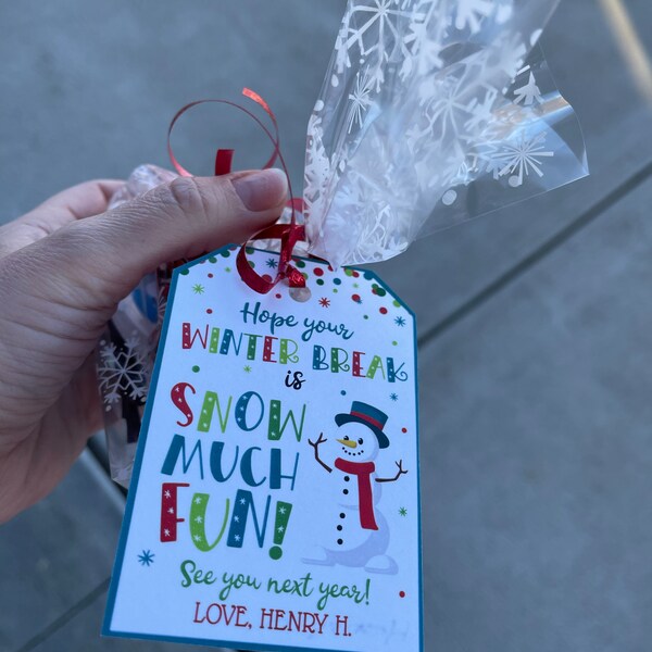 Hope Your Winter Break is Snow Much Fun Tag From Teacher Holiday Gift ...
