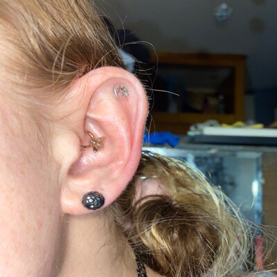 Rose Gold Bee Septum Ring Pink Gold Honey Bee Nose Ring Insect Body ...