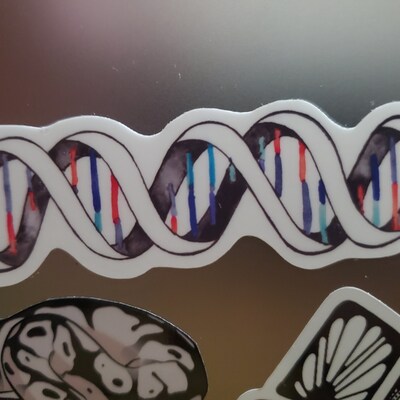 DNA Sticker Stickers Sticker Laptop Stickers Planner Vinyl - Etsy