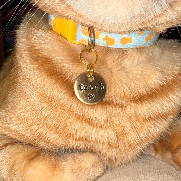 Cat Tag, Cat ID Tag, Small Pet Tag, Cat Name Tag, Microchipped Tag ...