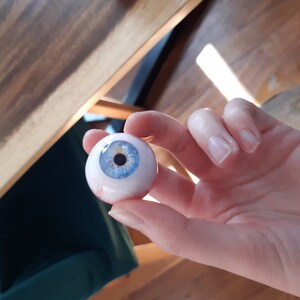 Complete Round Realistic Human Eyeball, Available in 6 Different Colors ...