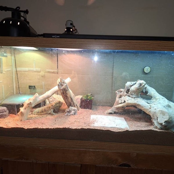 Slate Spawning Cave for Bristlenose Pleco Aquarium Fish Tank Decoration ...