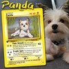 Your Pet as a Pokemon Card - Etsy