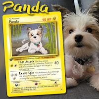 Your Pet as a Pokemon Card - Etsy