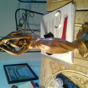 Bill Neat Raccoon Drawing Framed Forest Art 14 1/2 x 11 1/2 - Etsy