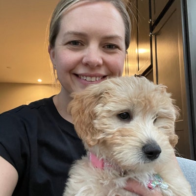 Smiley Pet Tags - Etsy