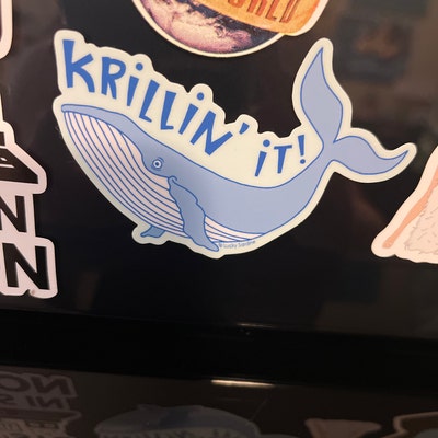 Humpback Whale Vinyl Sticker Whale Sticker Killin' It - Etsy