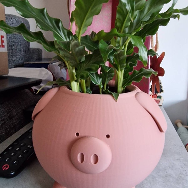 Reading Pot | Book Pot | Cute Plant Pot | Plant Pot | Sitting Planter ...